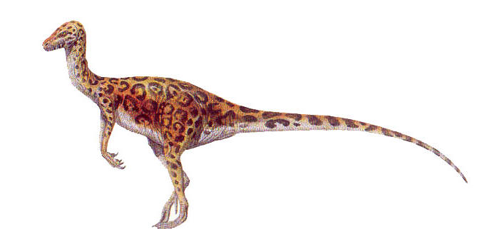 Extinct Animal of the Week: August 2013