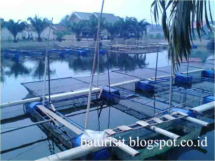 Memanfaatkan Kolam Retensi Untuk Memelihara Ikan