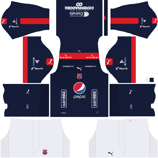 DLS/FTS Kits 2021: 2018