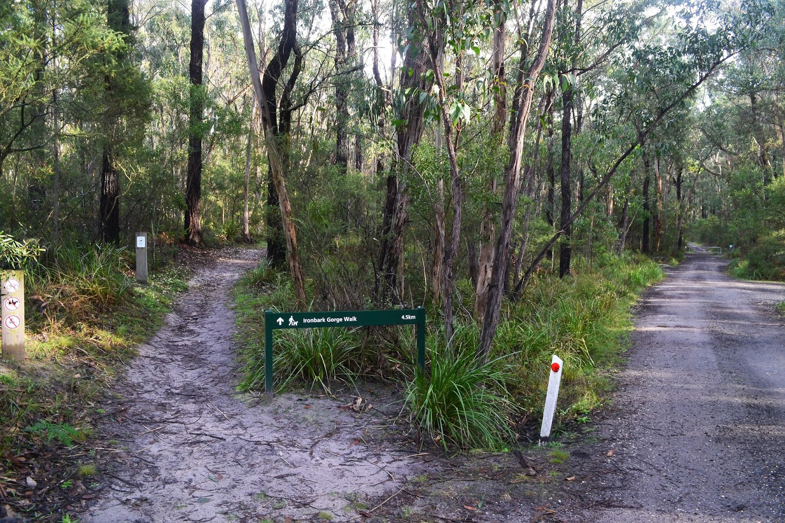 Goin' Feral One Day At A Time: Ironbark Gorge & Currawong Falls, Great ...