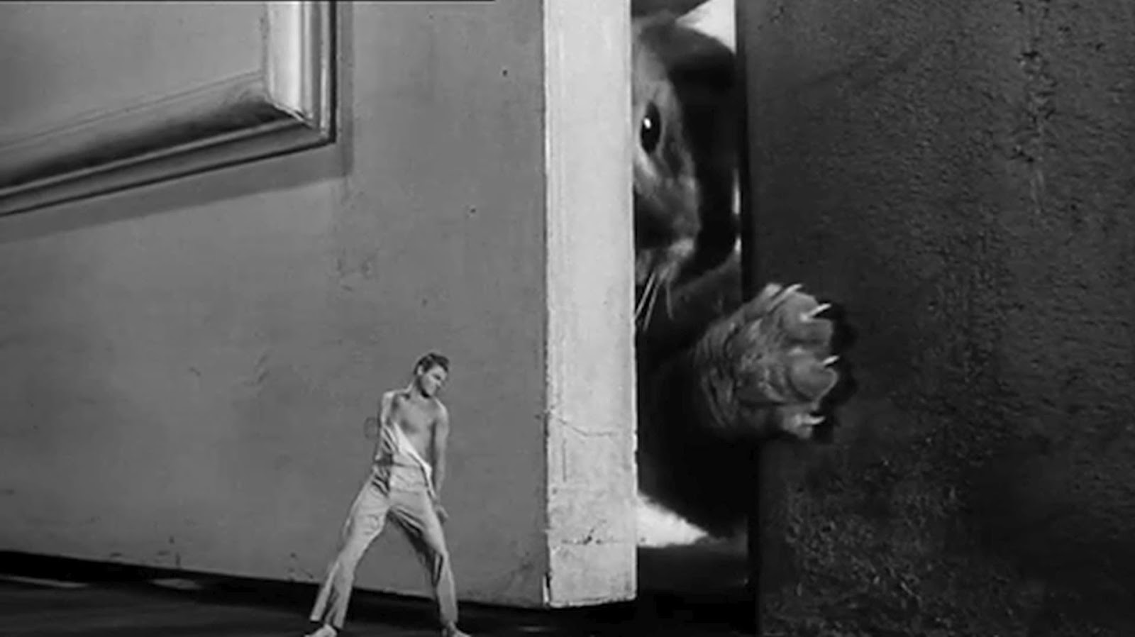 NIGHTWALKER: VARIADILLO FACEBOK MEMES FOTOS ETC