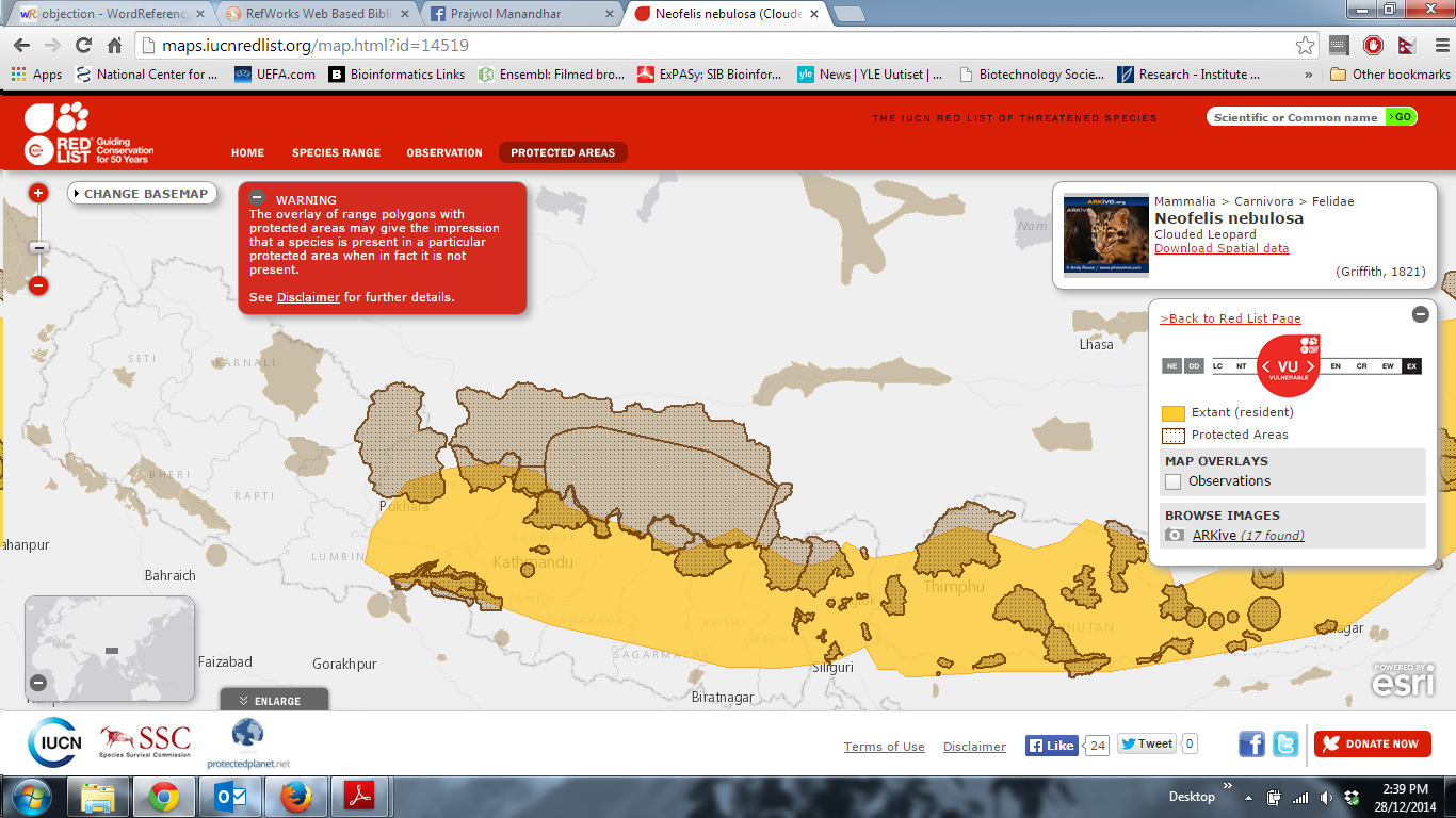 Wild Roar: THE LAST REMAINING CLOUDED LEOPARDS