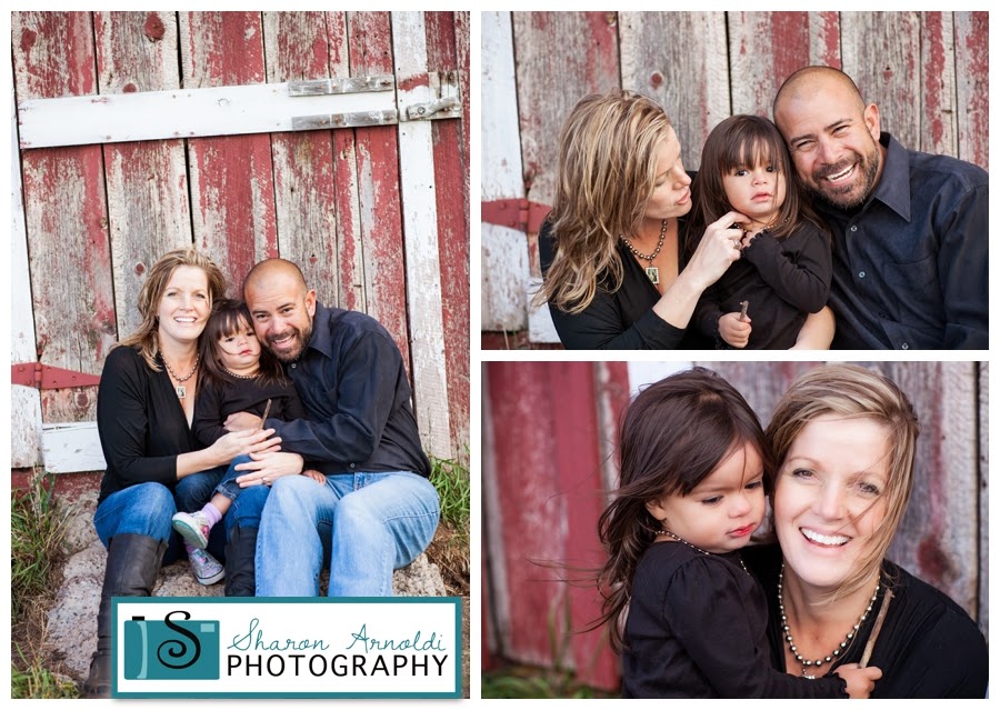 OLD BLOG, NEW BLOG HERE: http://www.sharonarnoldi.com/blog : Highlands ...