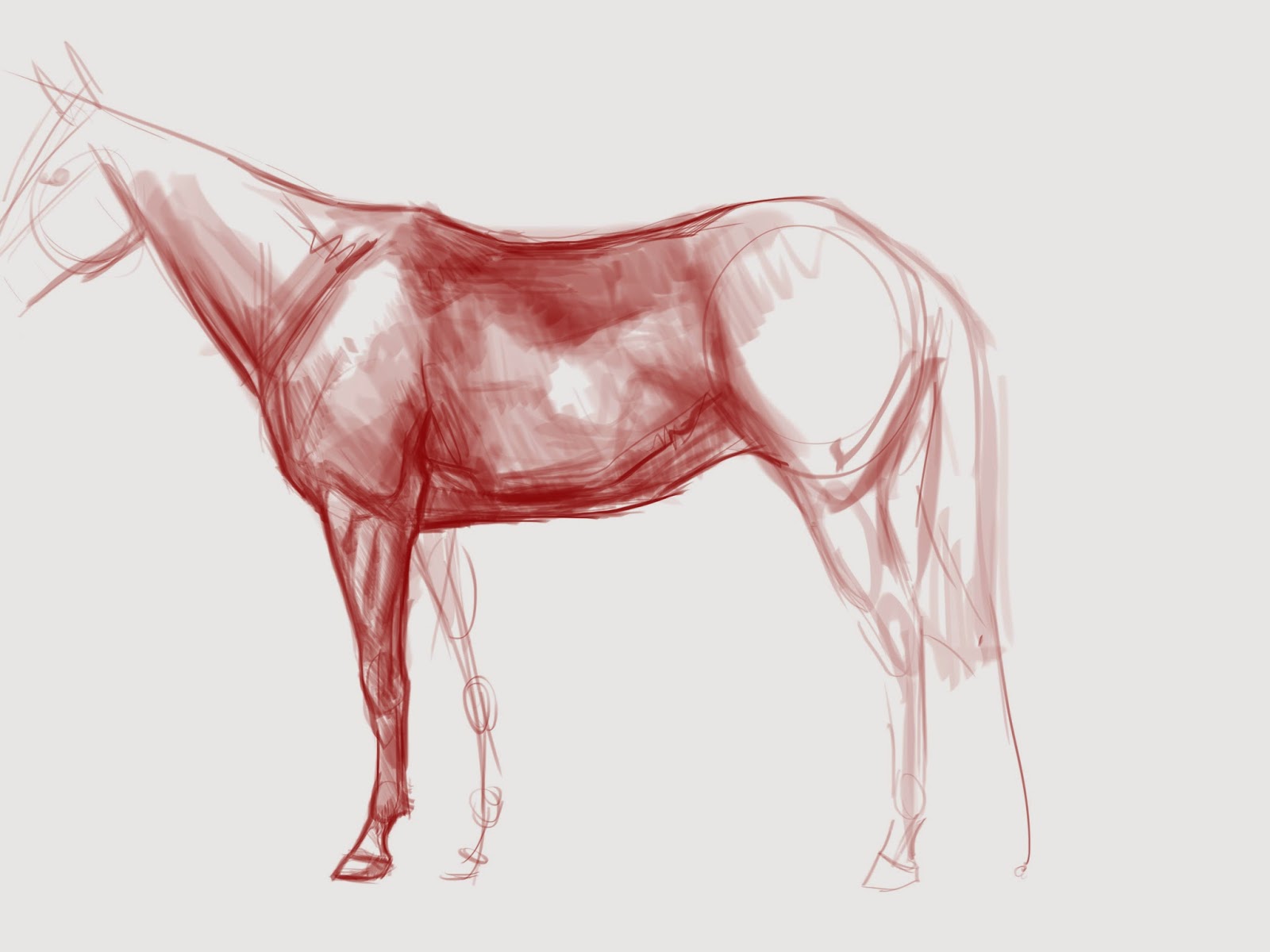 Joe Weatherly Fine Art: Horse drawing demos and diagrams.