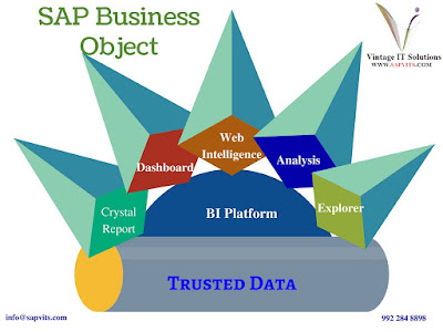 SAP Business Object: User Guide