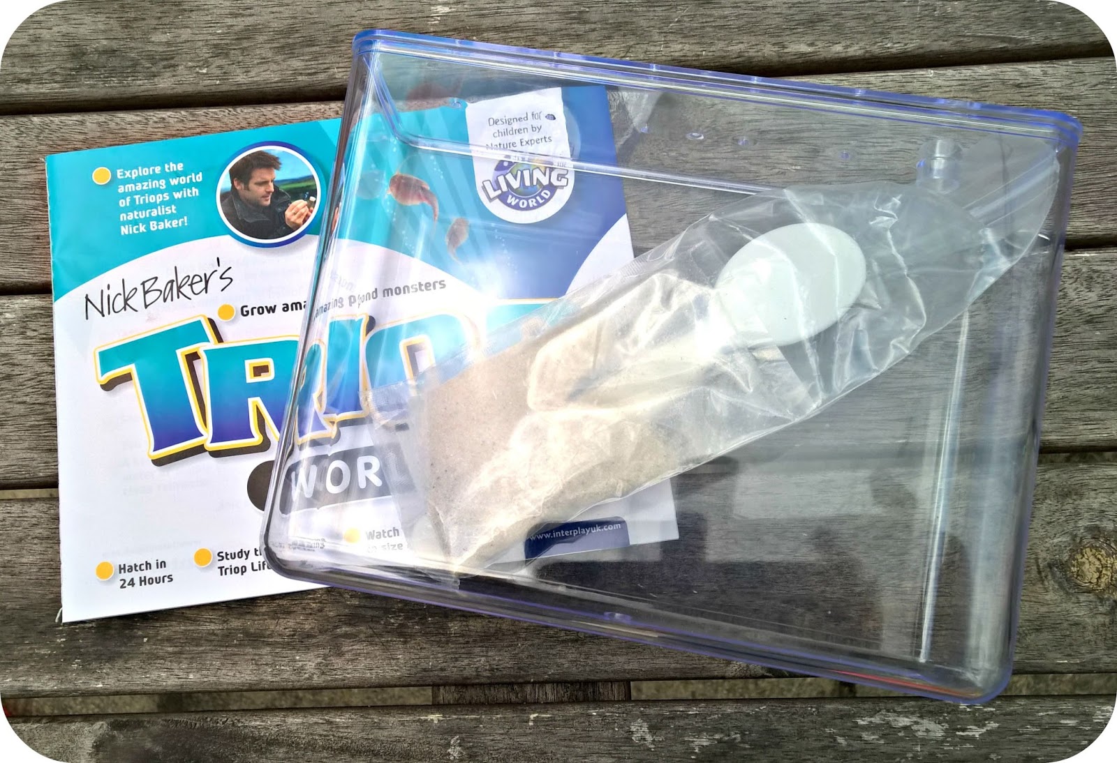 Triop World from Interplay UK | Red Rose Mummy