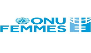 ONU FEMMES RECRUTE CONSULTANT NATIONAL / EQUIPE NATIONALE DE ...