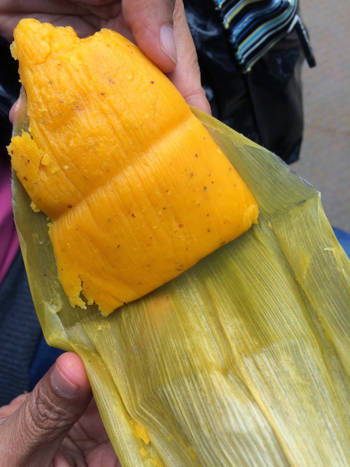 Land Below The Wind Part II ~ As Life Goes On...