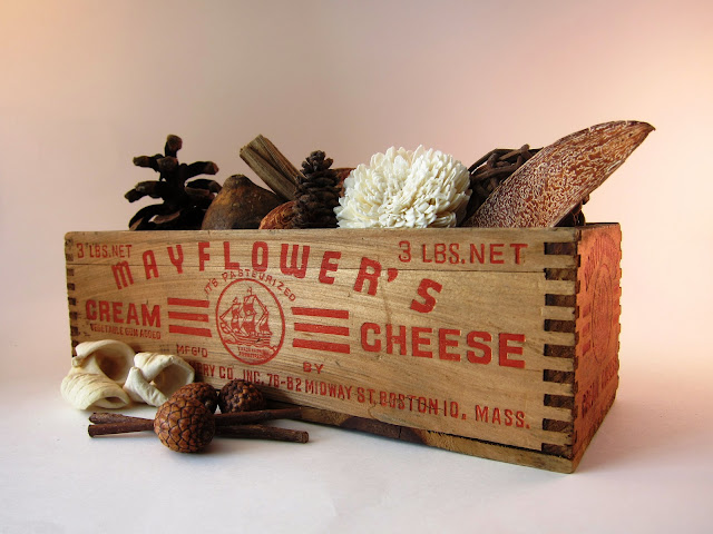 Cooking at Café D: New Rustic Vase Fillers - Nature in a Snap!