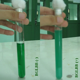 Media Brillian Green Lactose Broth (BGLB) ~ Medical Laboratory Technologist