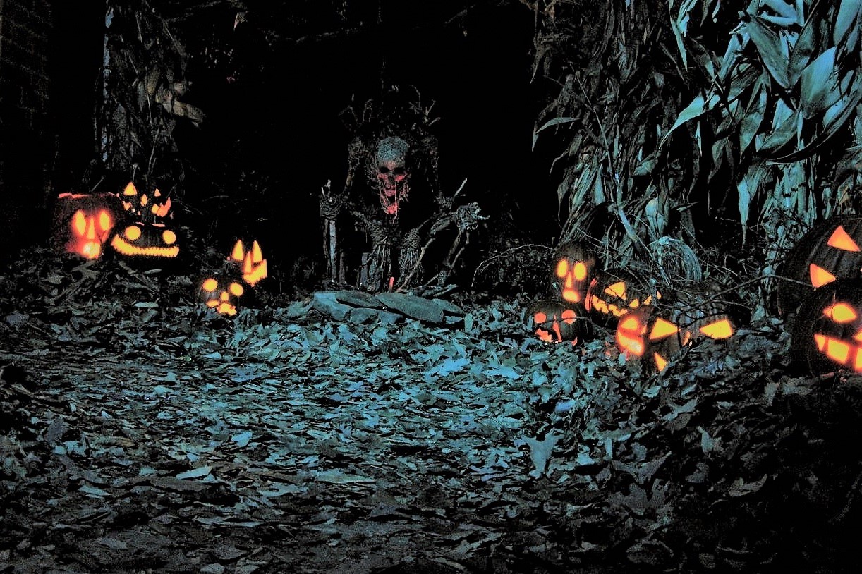 PUMPKINROT.COM: The Blog: Happy Halloween