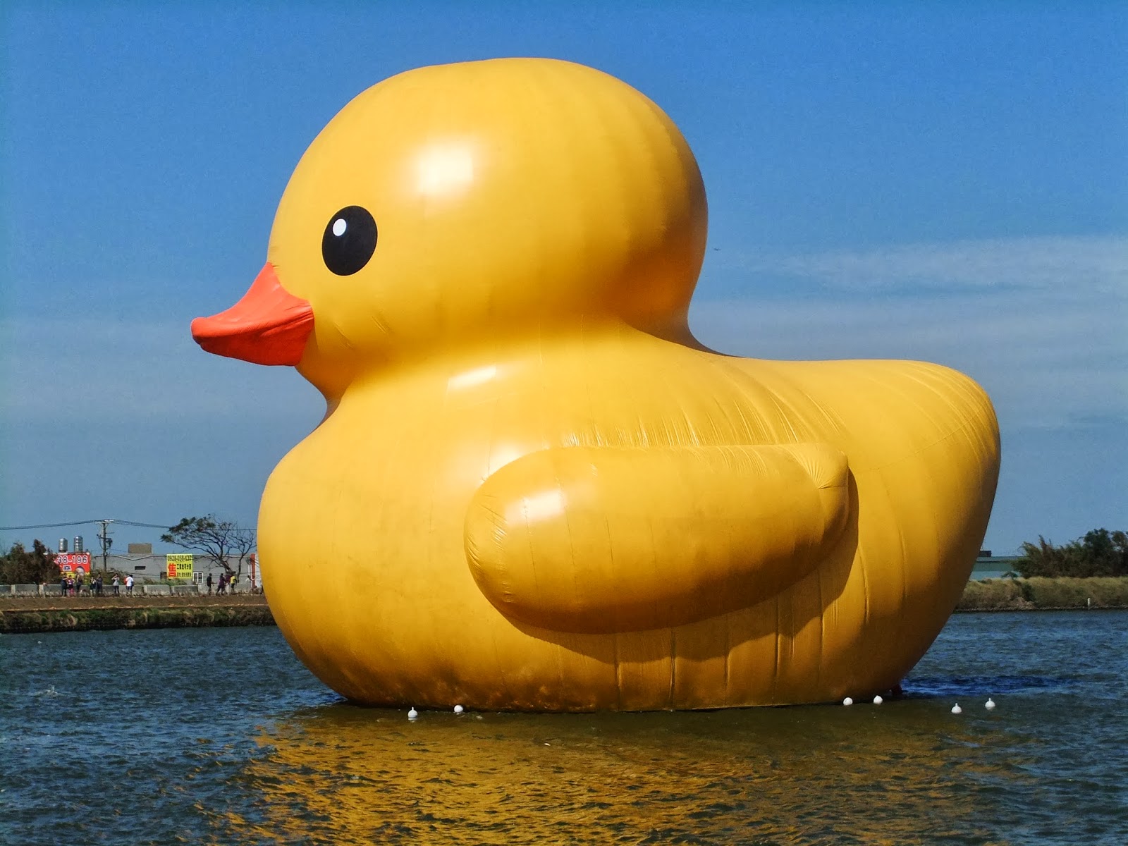 The Taiwan Adventure: That is one BIG Duck