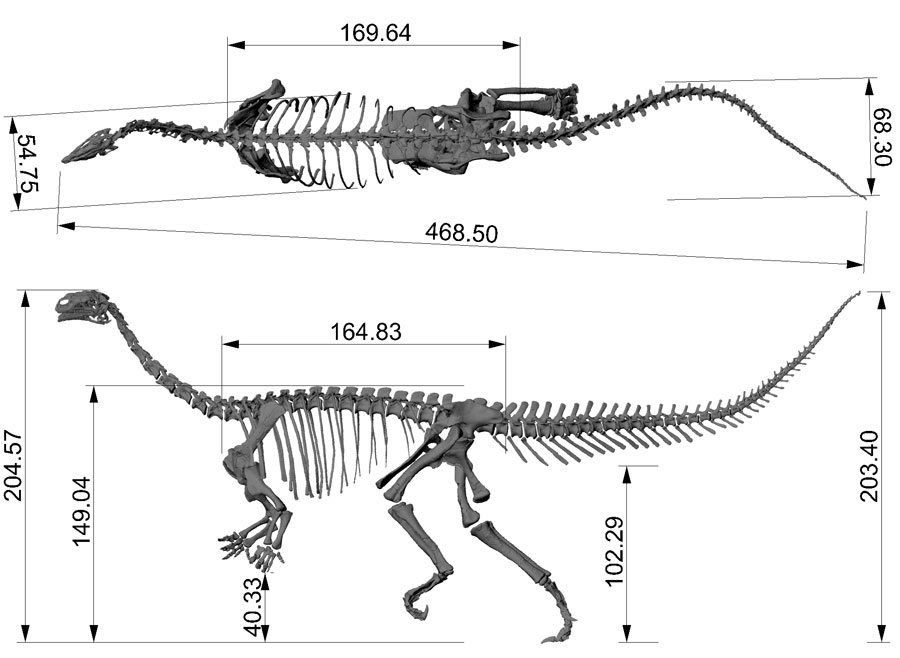Escenarios prehistóricos: Plateosaurus
