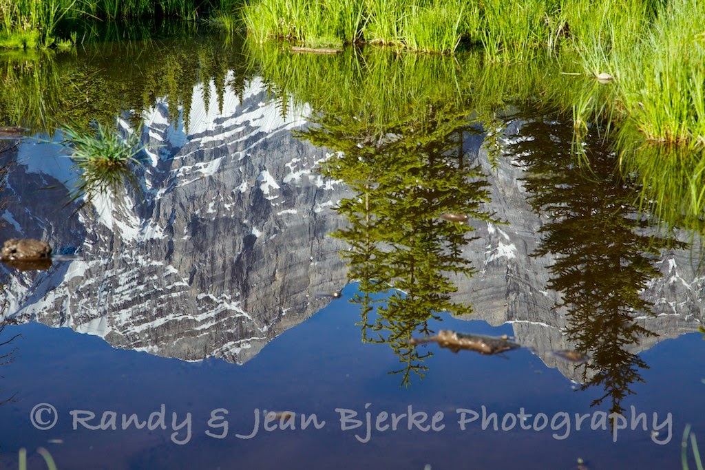 Jean Bjerke's Photo Blog: Tips for Photographing Reflections in Nature