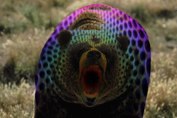 justins art blog: psychedelic bear