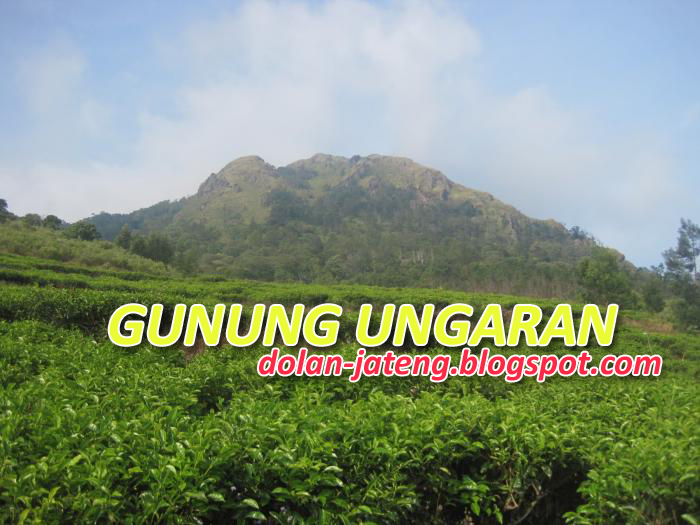 Wisata & Kuliner Jateng: Mari Mendaki Gunung Ungaran, Melihat Indahnya ...