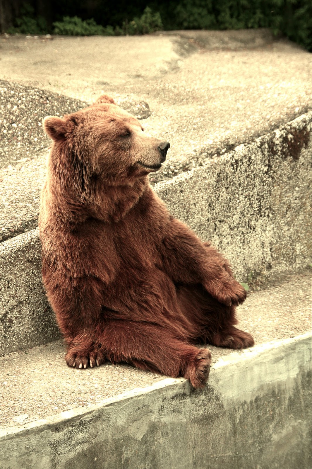 Apuntes, garabatos e instantáneas de una gafotas en varsovia.