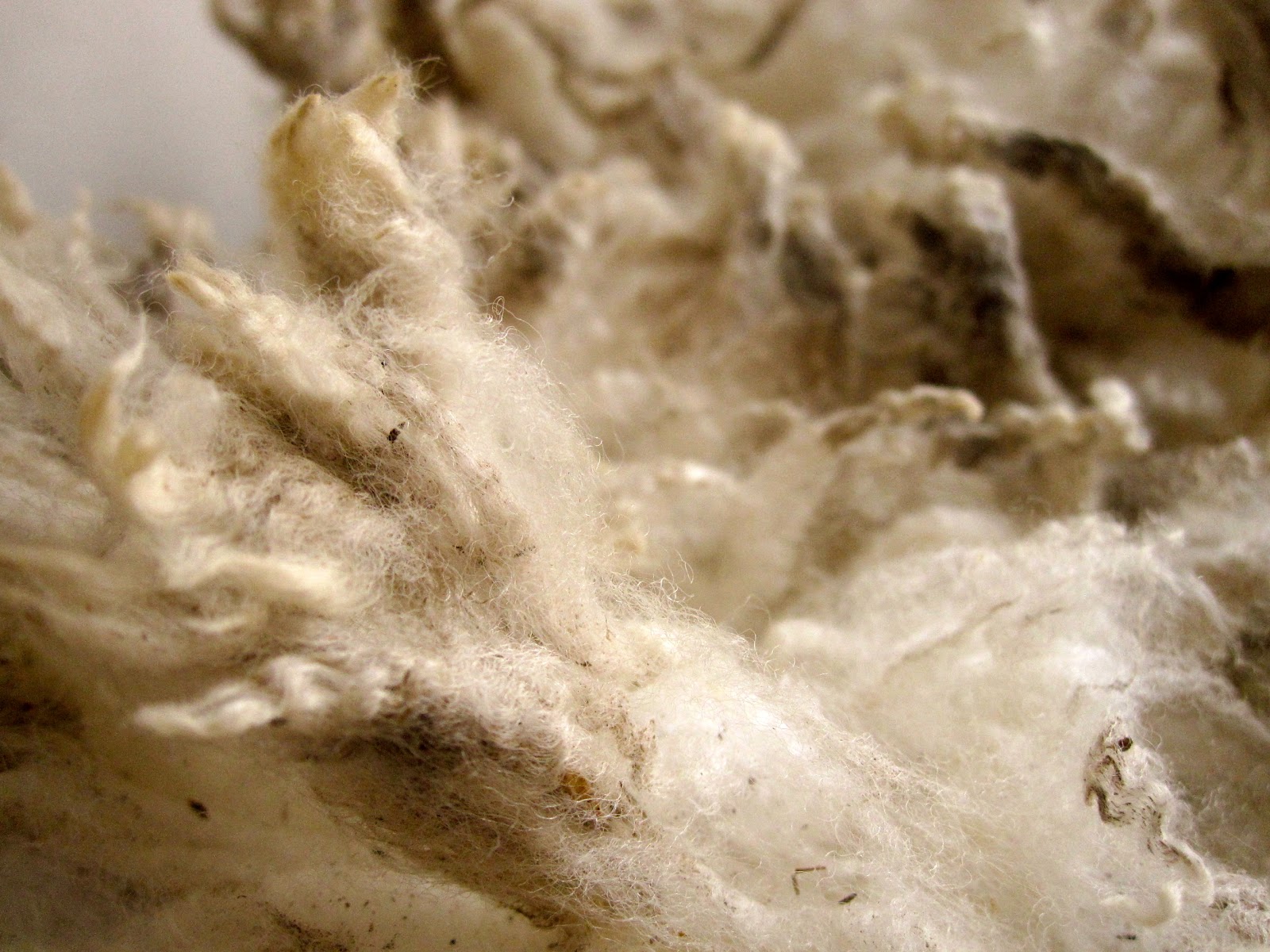 à pleines mains: Laver et Peigner: La Toison d'Or, épisode 2