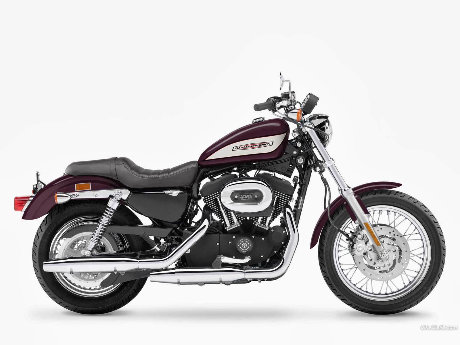 Harley Davidson XL 1200 R Sportster - Harley Davidson Motor