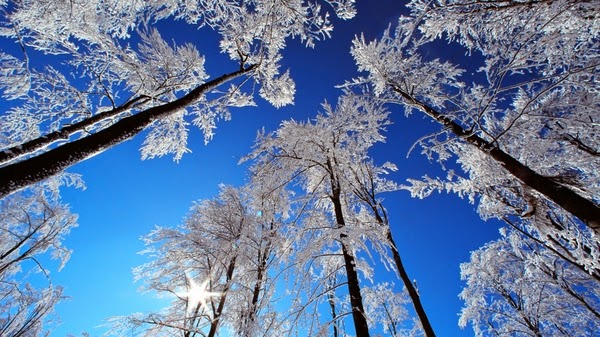 Pasaulis per objektyvą: Žiema, žiema - snaigės veidą bučiuoja....