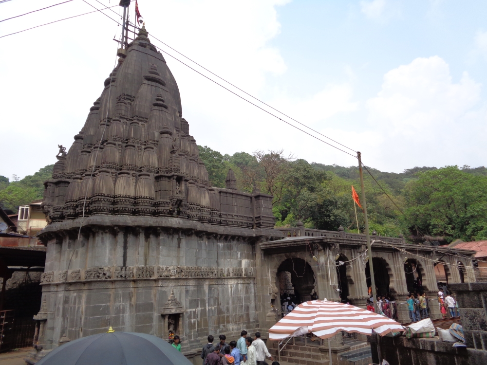 Riding a Rainbow: Bhimashankar Forest Trail: In Search of the Giant ...