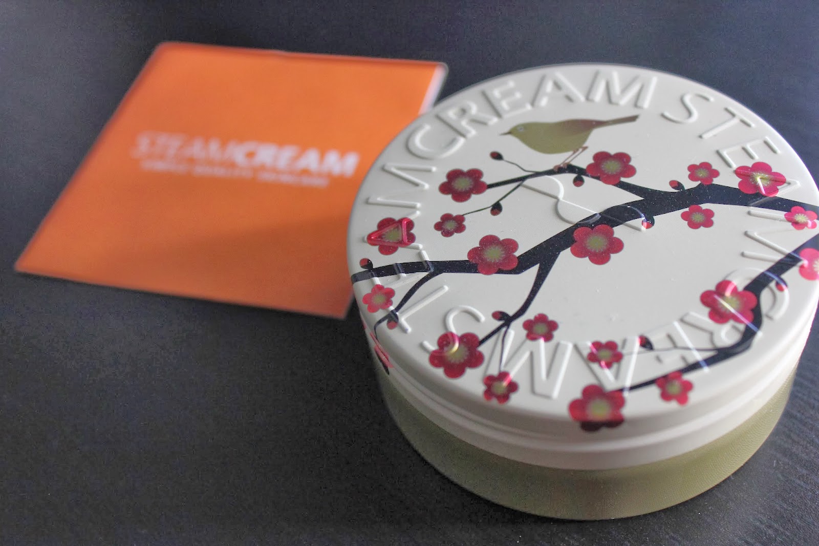 The Wonders of STEAMCREAM – Will Bake for Shoes