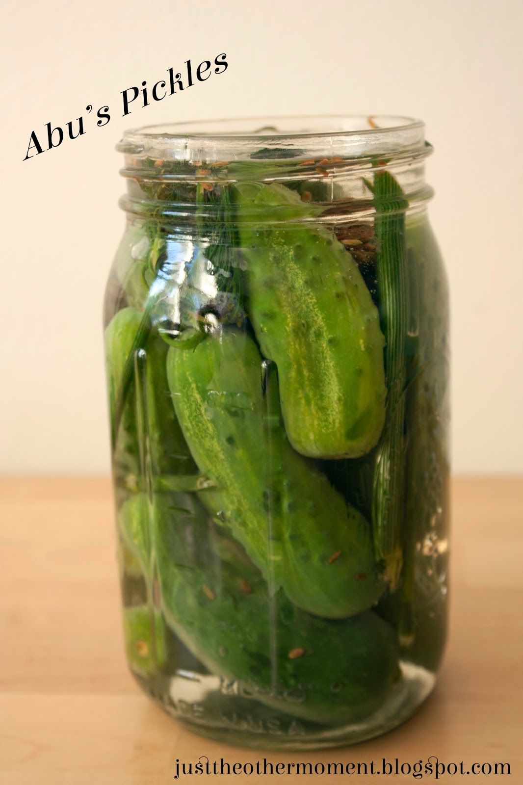 just the other moment...: Homeschooling by the Seat of my Pants