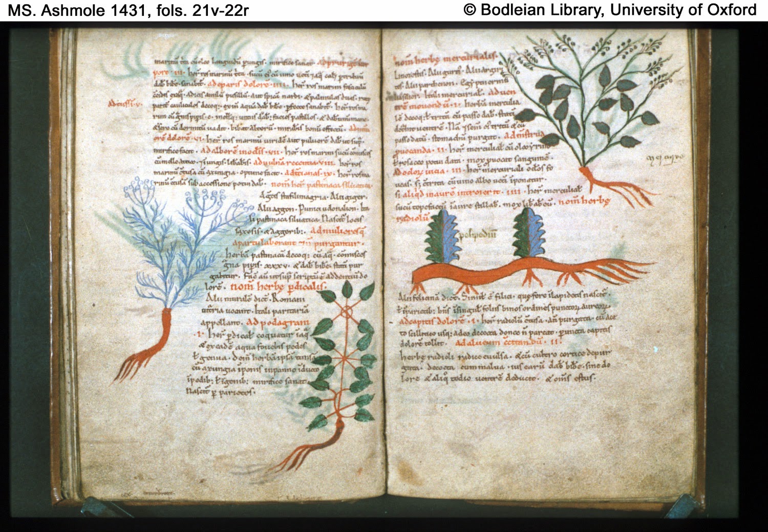 Astrolog Smiljana Gavrančić : „Ashmole 782“ and 15ºCancer Published ...