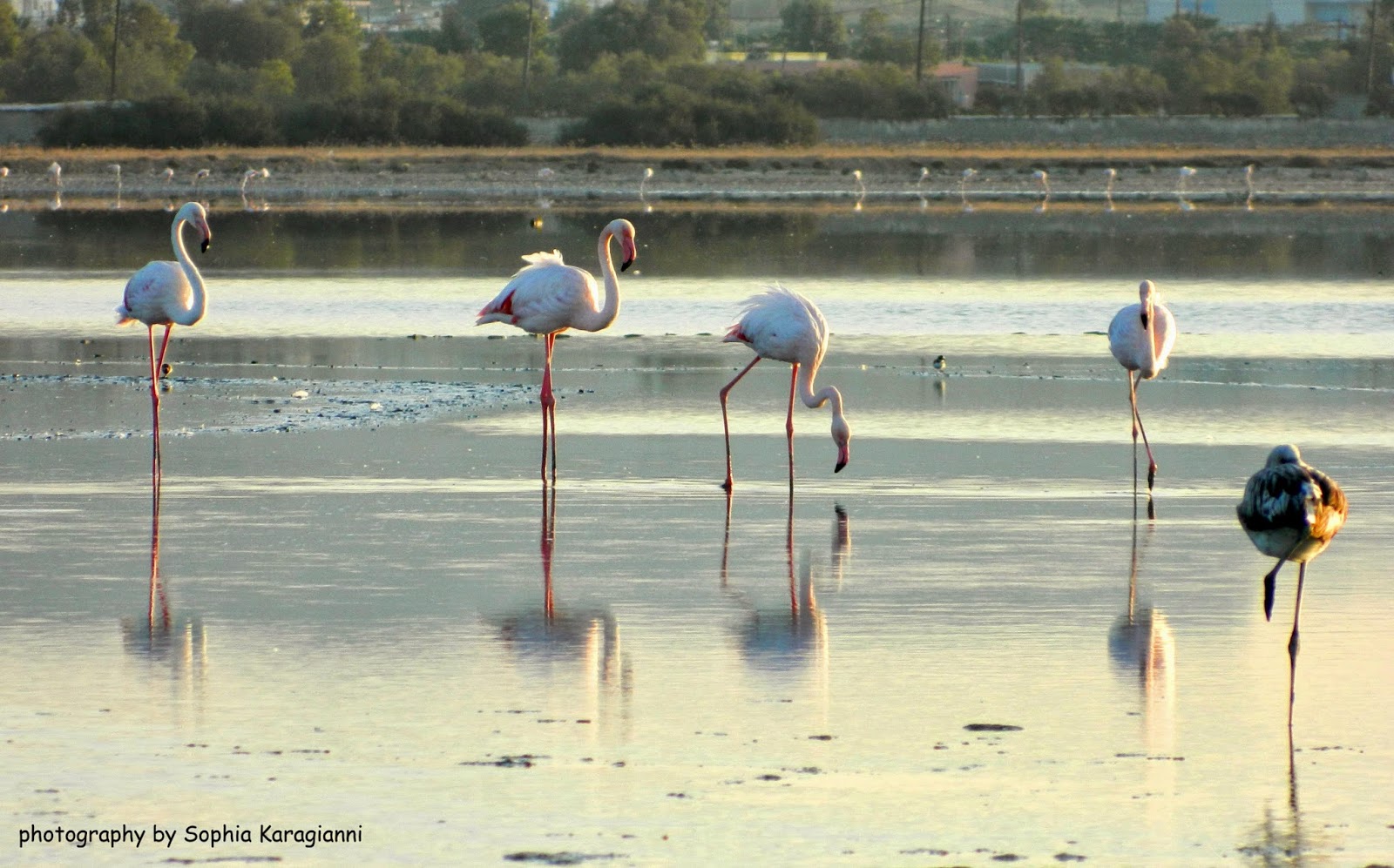 Kos and the Dodecanese through my eyes-Η Κως και τα γύρω νησιά μέσα από ...