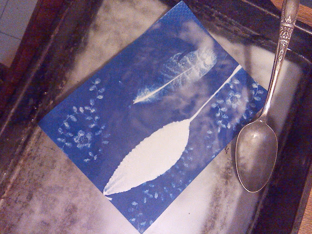 The Science Notebook : Cyanotype Printing Experiment (somewhat successful)