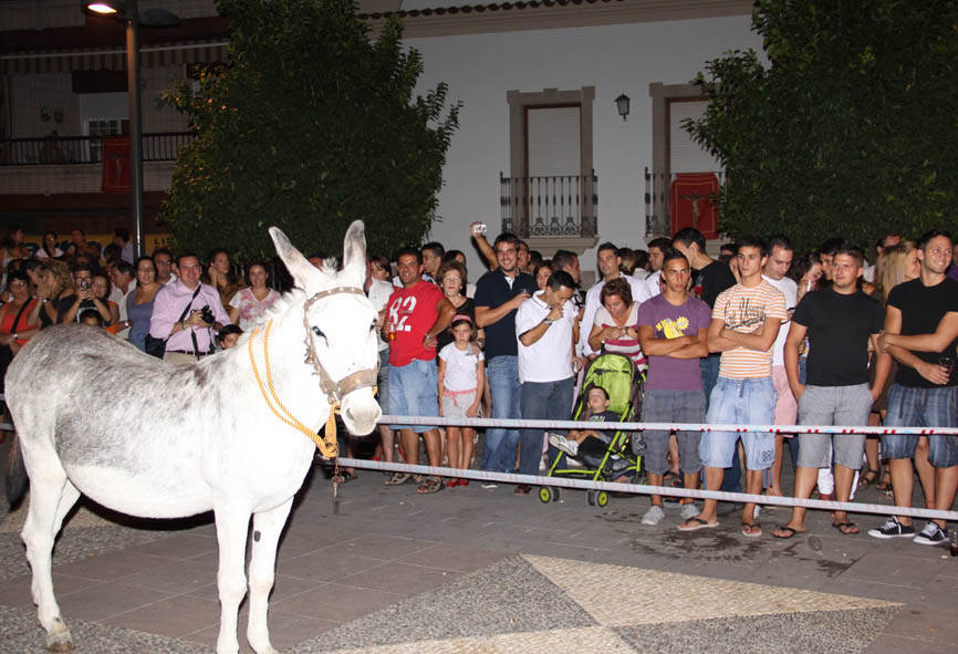 Alto Guadalquivir al Minuto: Una cagada con suerte