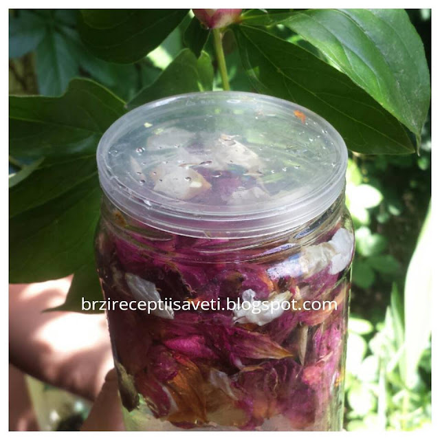 Brzireceptiisaveti.blogspot.com: Domaci mirisni Liker od ruze ...