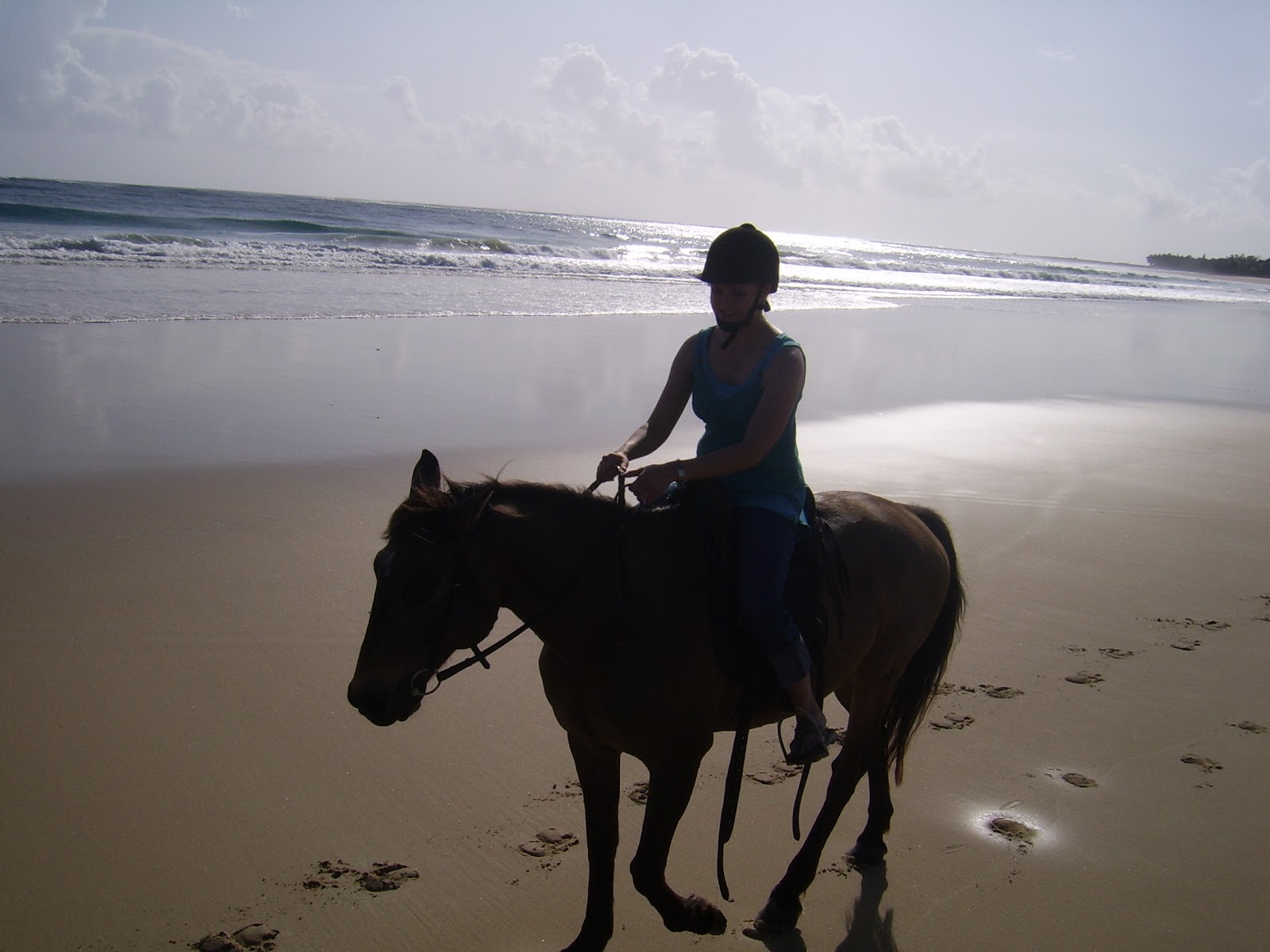 So reg uit die perd se bek...