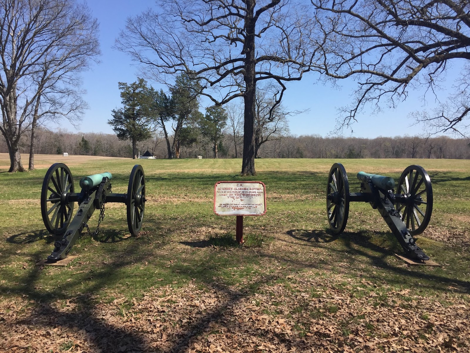Dispatches from the LP-OP: Wilcox County soldiers fought at the Battle ...