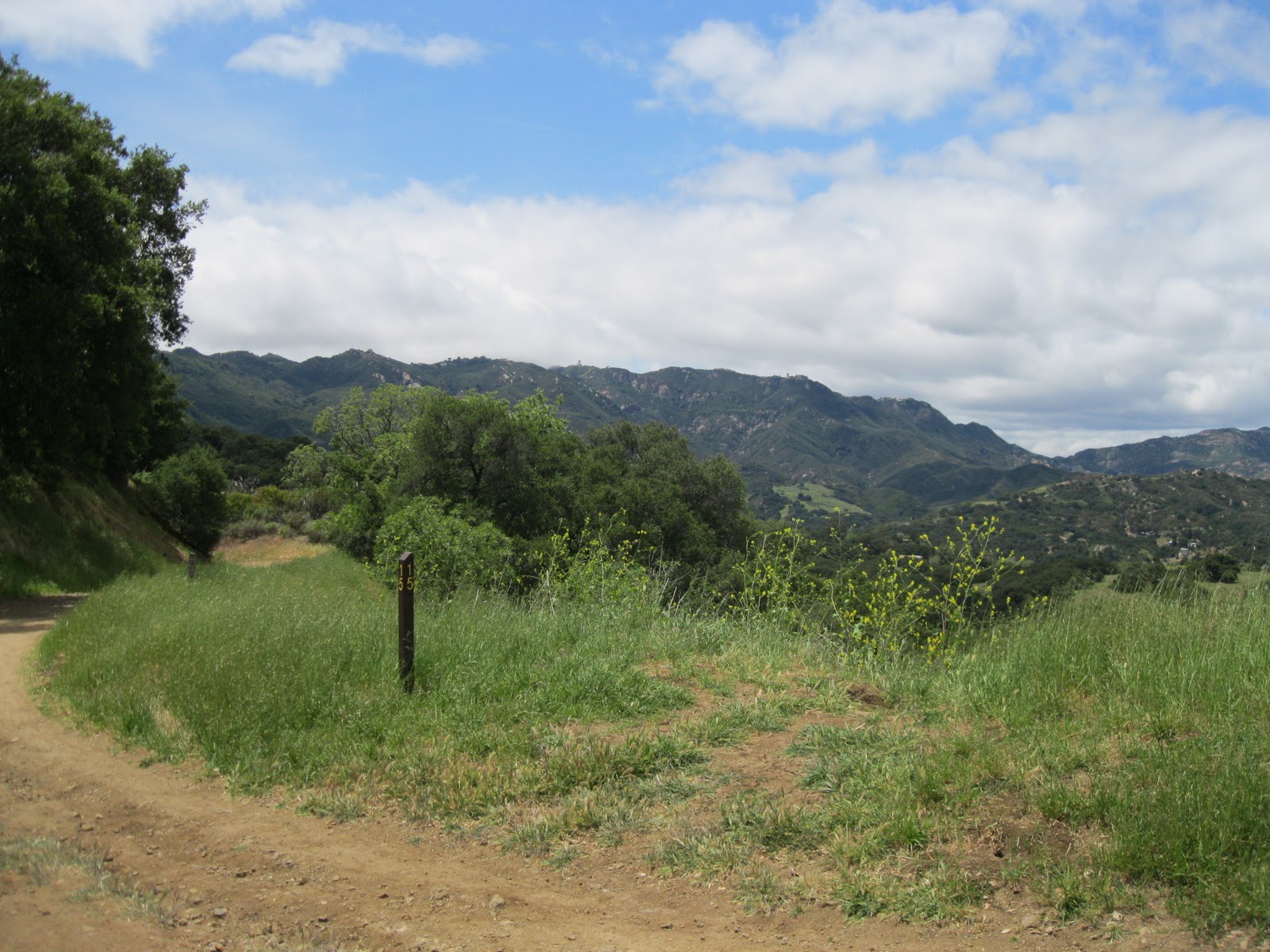 Wildlife in Southern California: Ecosystems