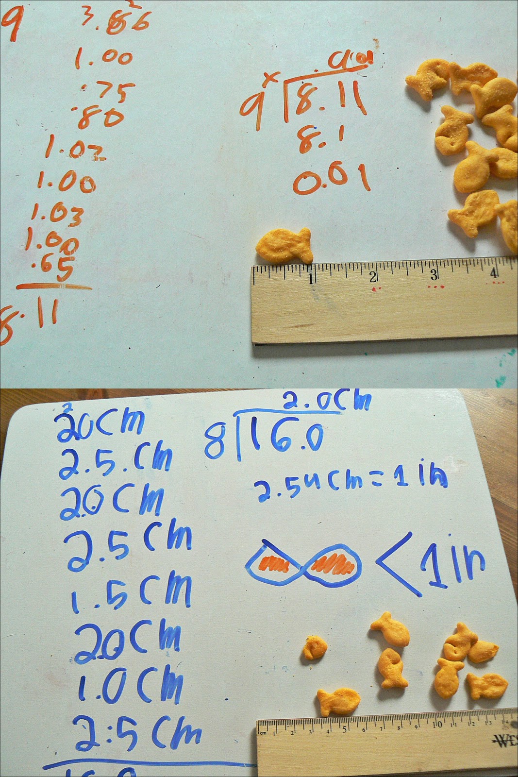 101 Days of Homeschooling: Day 64 / 102 - The Average Size of a ...