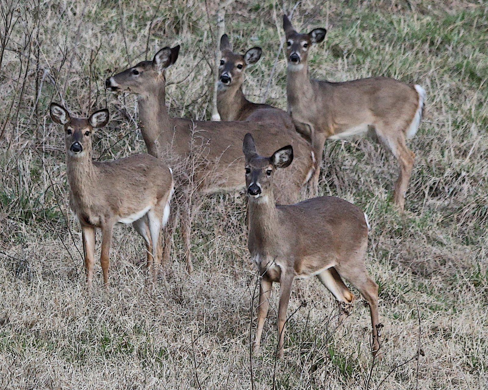 BEAUTY OF NATURE: PHOTOS OF THE DAY
