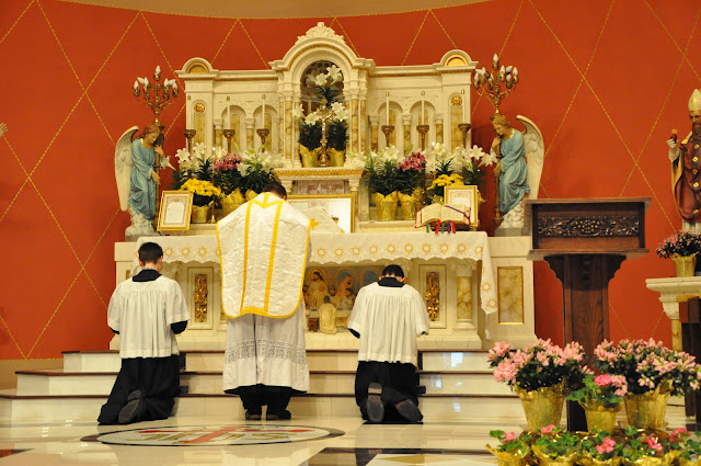 CATHOLICVS: Santa Misa tradicional en el mundo en marzo y abril de 2012 ...