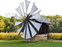 Every Day Is Special: May 10, 2013 - Fintastic Friday: Giving Sharks a ...