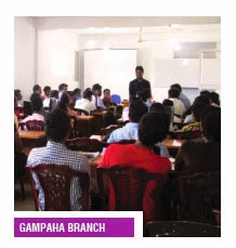 JAVA INSTITUTE: Branches network