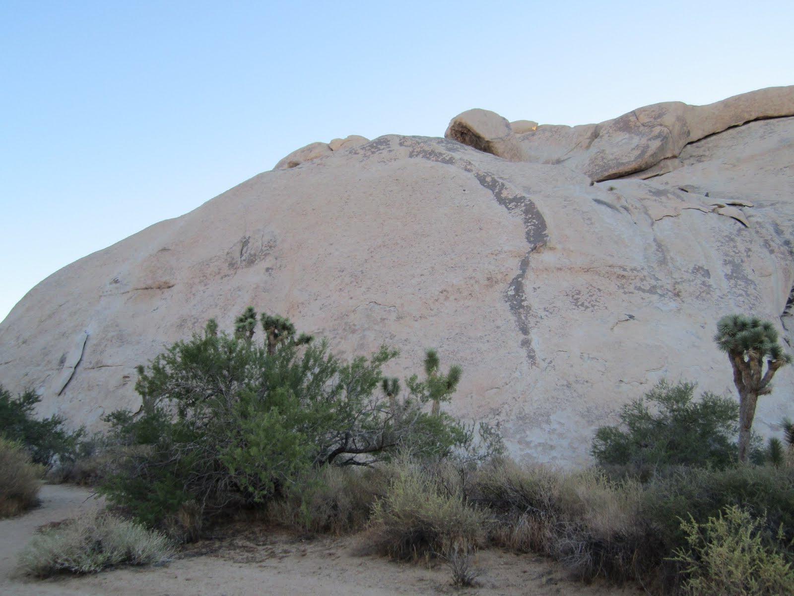 Bay Area Climbing - All Things Beta!: Joshua Tree Route Beta Bay Area Climbing - All Things Beta!: Joshua Tree Route Beta
