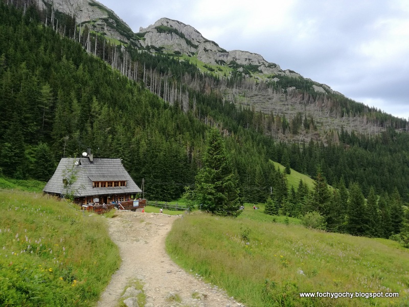 Kulinarne fochy Gochy