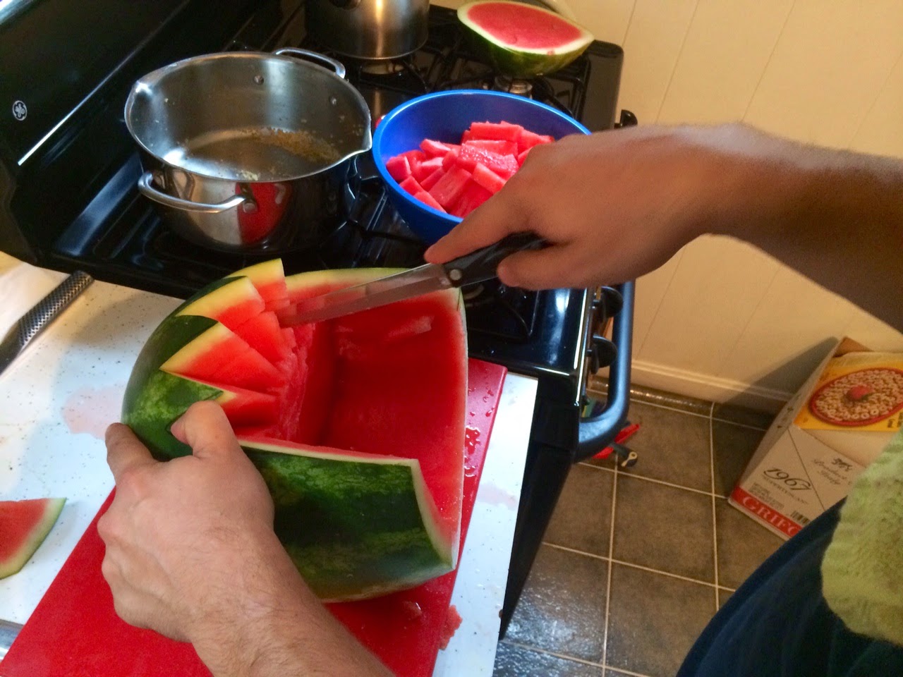 Adult back flips and Watermelon Fruit Monster ideas. | The Red ...