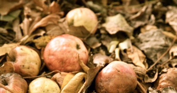 The_life_of_a_day_tom_hennen flanvalio