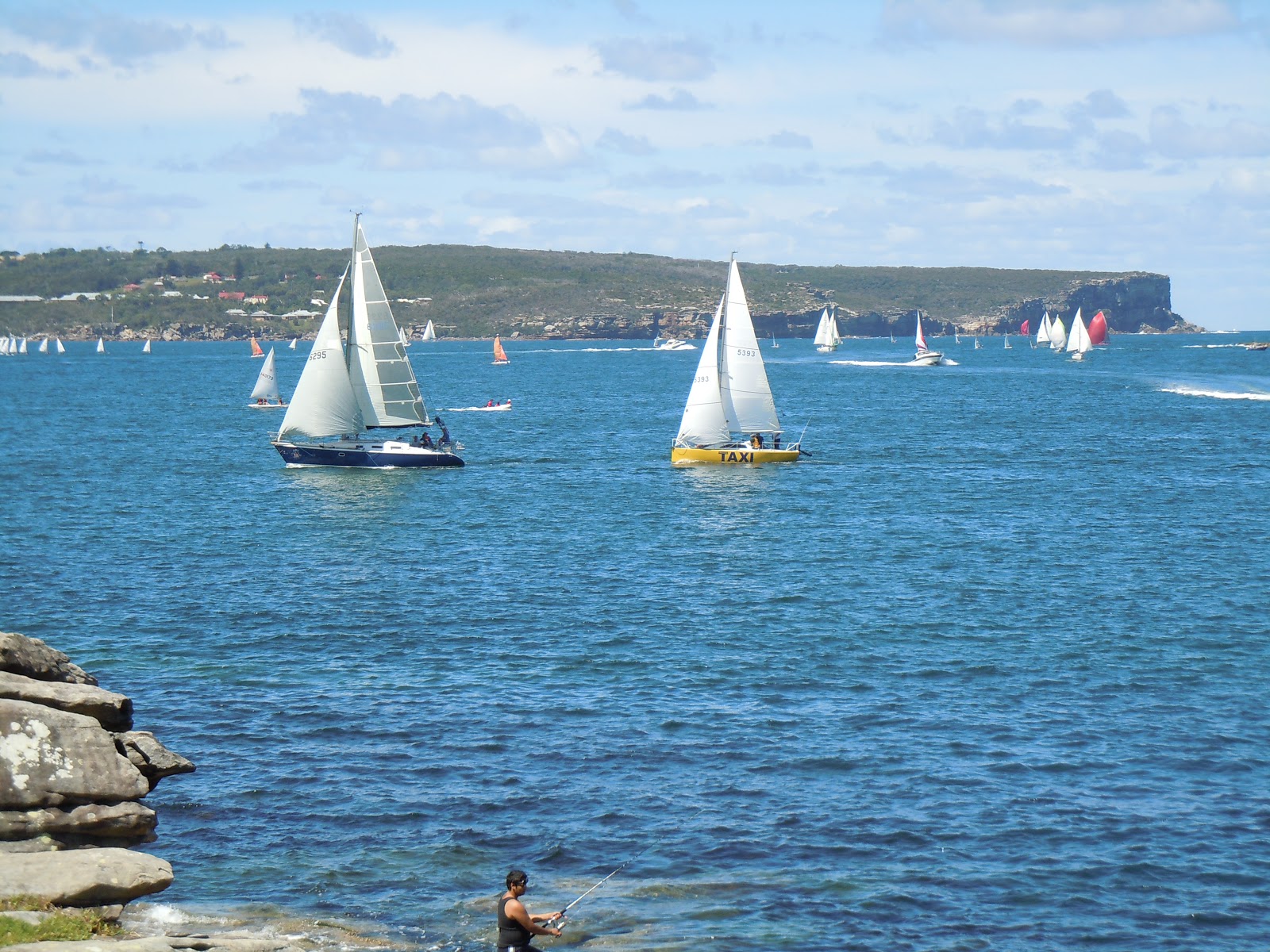 Adventures in Australia: Mosman & Balmoral Beach