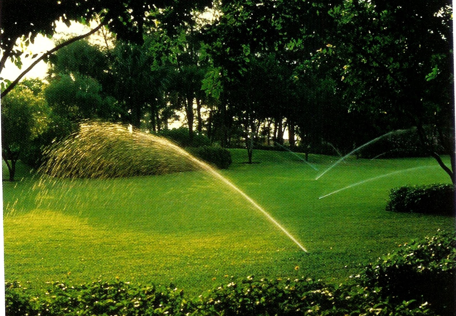 How To Design Irrigation System For Home | Wallpapers Area