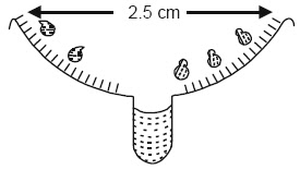 Expression (Preparation of Volatile Oils)