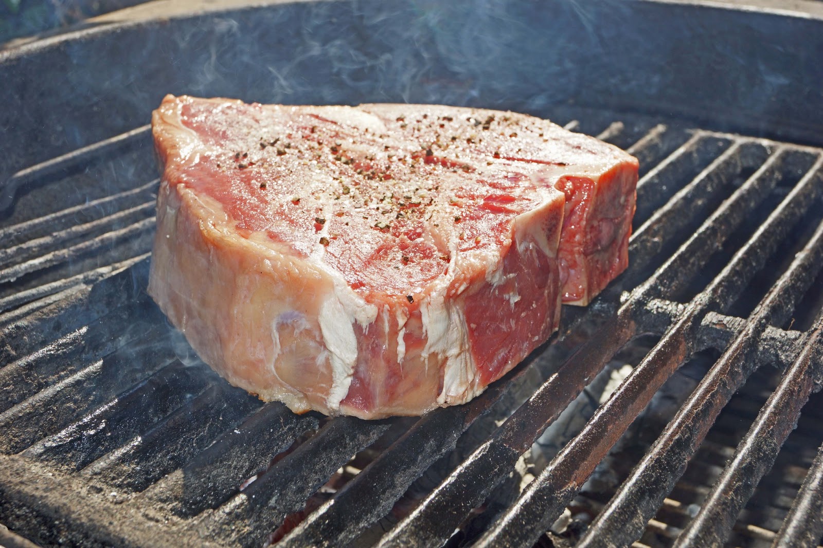 MAD MEAT GENIUS: T-BONEASAURUS REX