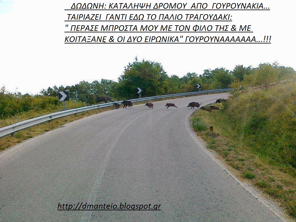 ΜΑΝΤΕΙΟ ΔΩΔΩΝΗΣ ΙΩΑΝΝΙΝΩΝ: ΔΩΔΩΝΗ : ΚΑΤΑΛΗΨΗ ΔΡΟΜΟΥ ΑΠΟ ΓΟΥΡΟΥΝΑΚΙΑ...
