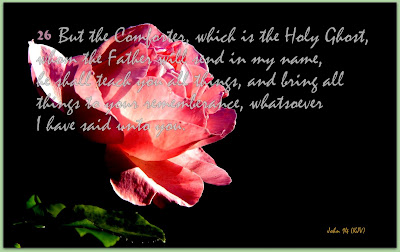 Red Pill Diaries: John 14 (KJV)